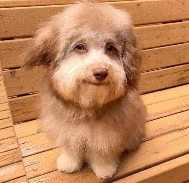 University Radio Falmer | URF